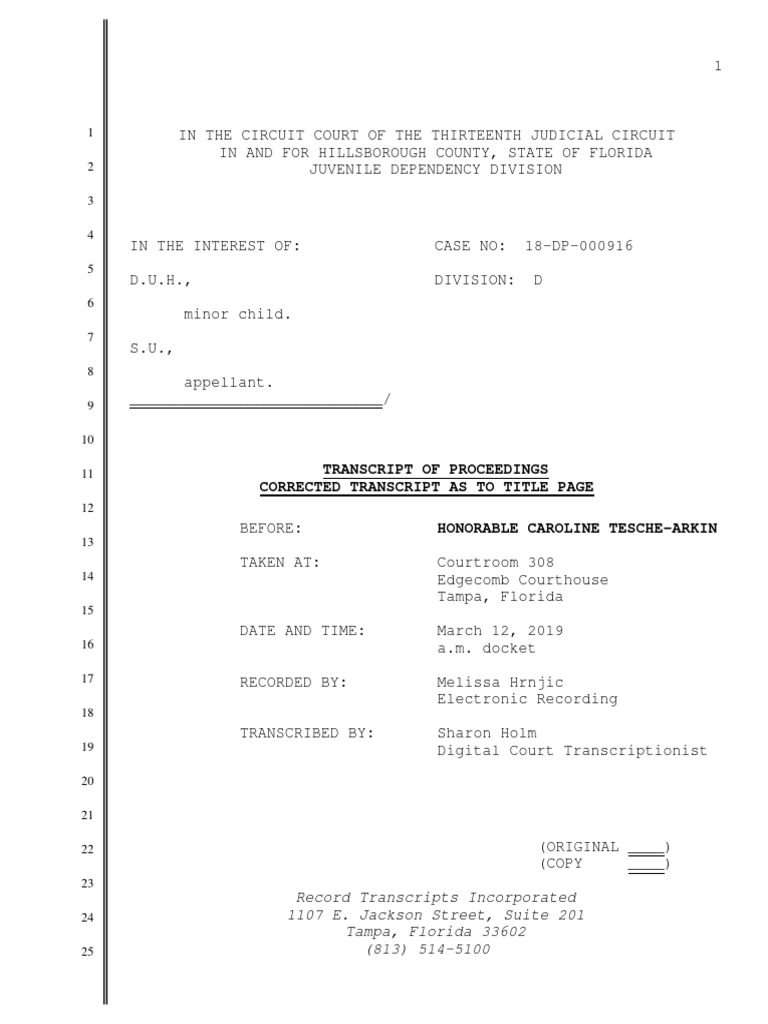 Juvenile Dependency Court Transcript | PDF | Public Law | Justice