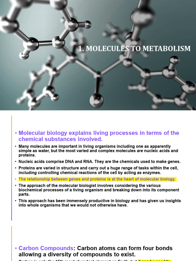 Molecules and Metabolism Explained | PDF | Molecules | Biology