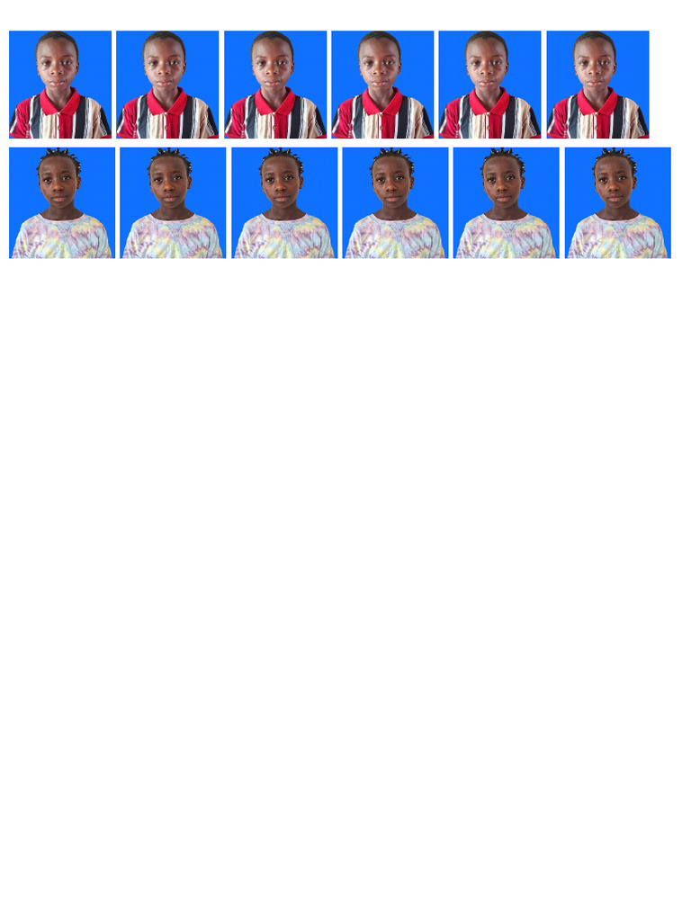 Foto Tipo Passe | PDF
