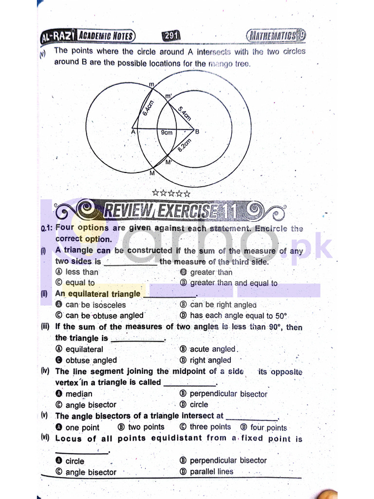 9th Math Unit 11 Review Exercise | PDF