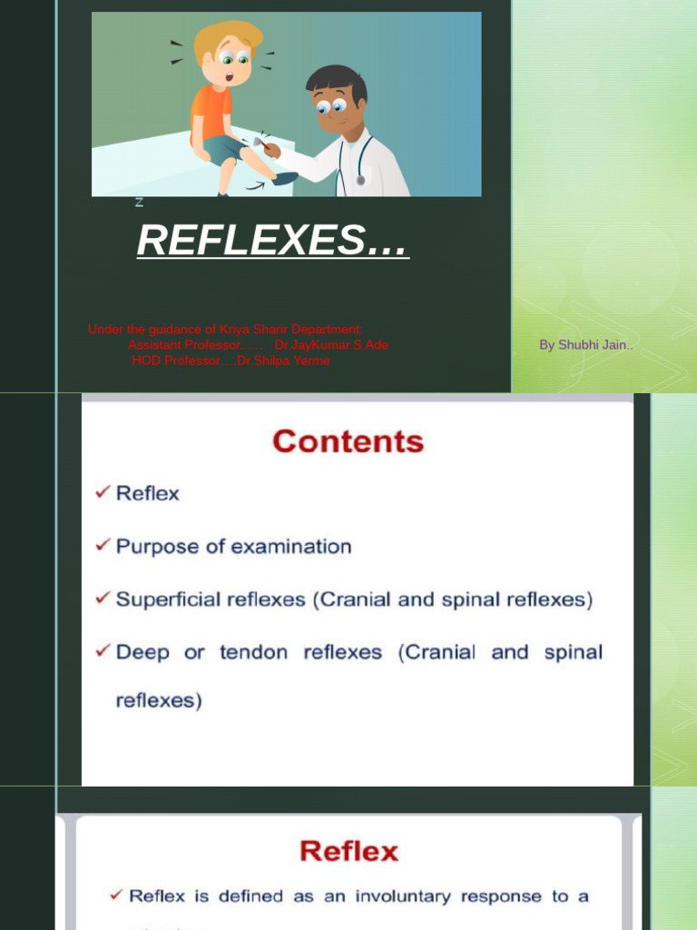 Reflexes.ppt | PDF