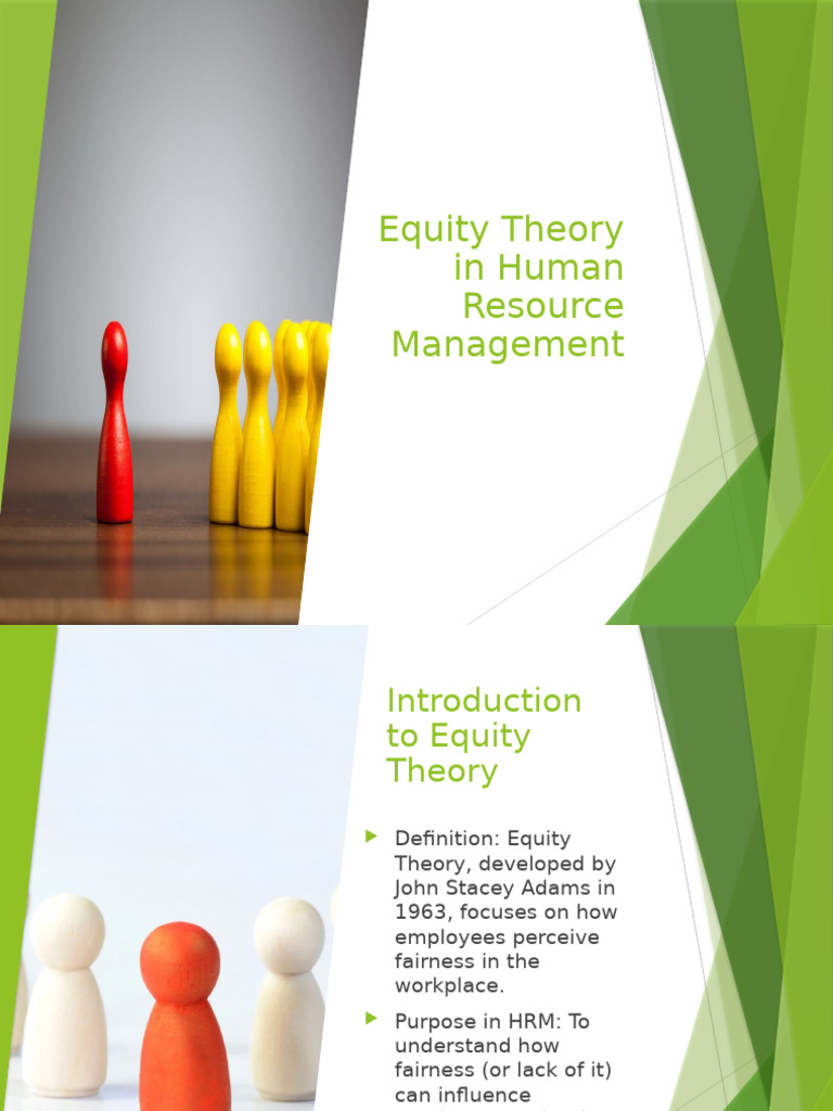 Equity Theory in HRM | PDF | Industrial Organization | Psychology