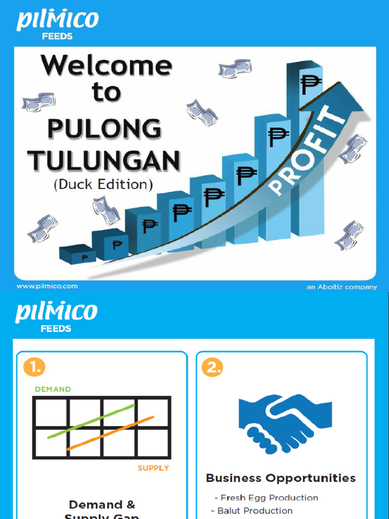 Jinayon's Farm Training Pulong Tulungan Ducks | PDF | Income