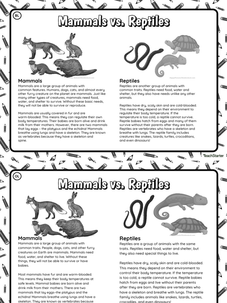 Mammals Reptiles | PDF | Reptile | Mammals