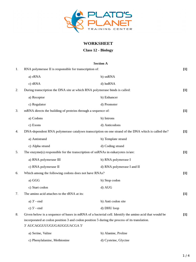 Transcription and Translation Worksheet | PDF | Translation (Biology ...