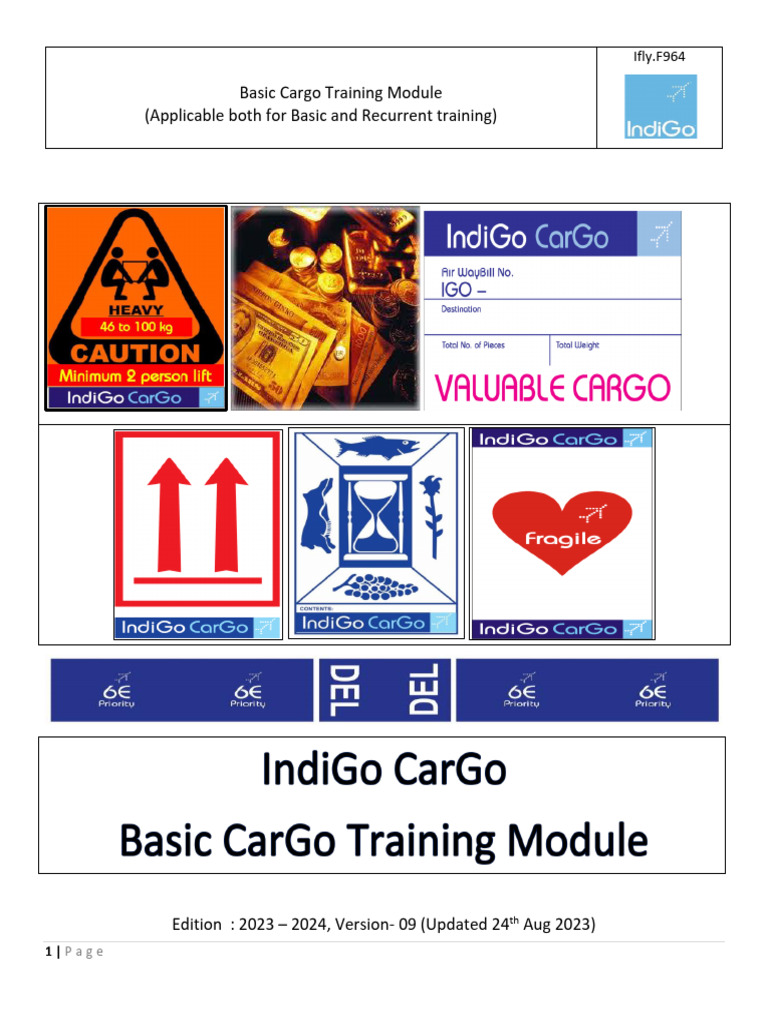Basic Cargo Handout - Version 9 | PDF | Cargo | Safety