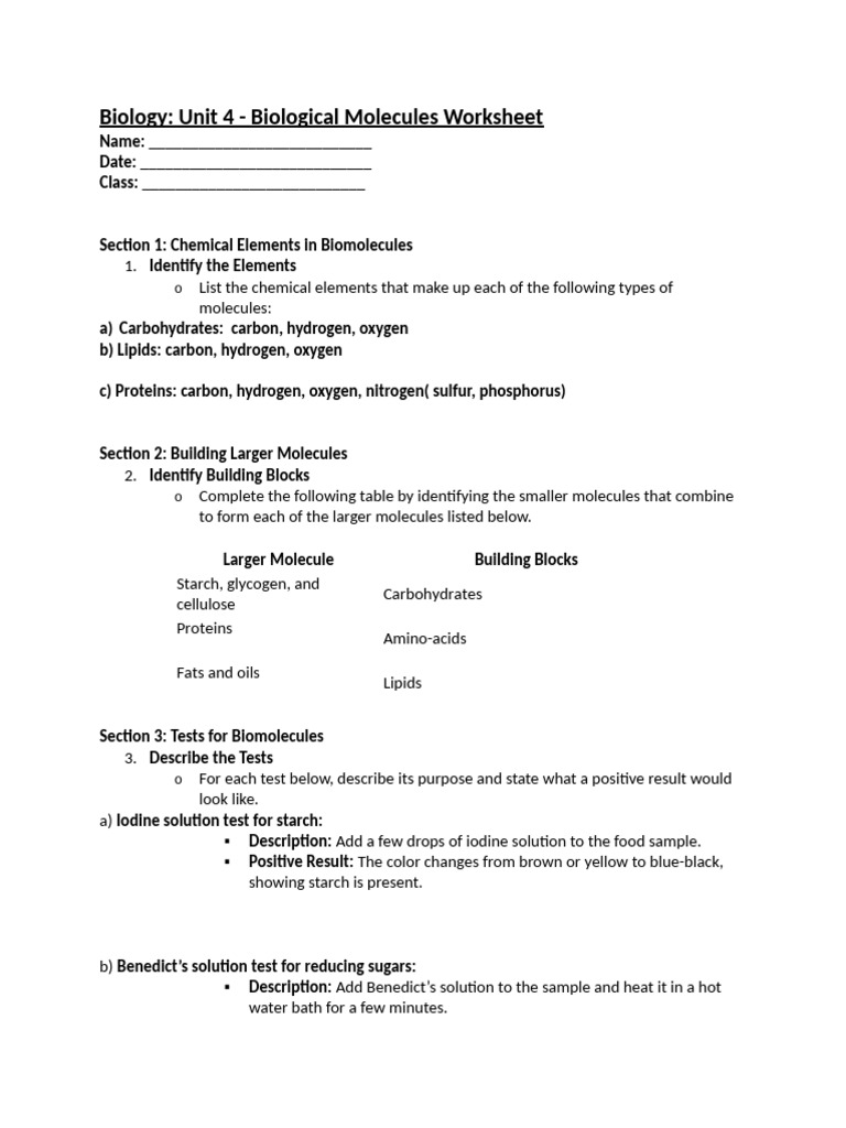 Biological Molecules Worksheet Guide | PDF | Dna | Biomolecules