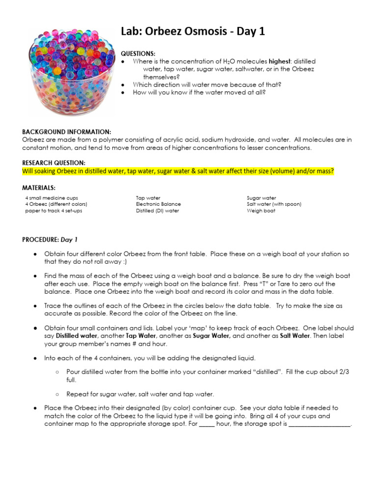 Orbeez Osmosis Experiment Day 1 | PDF | Water | Seawater