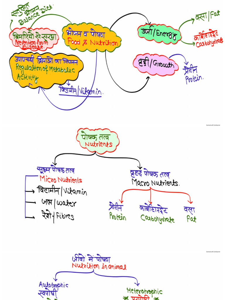 Exampur Biology Class | PDF