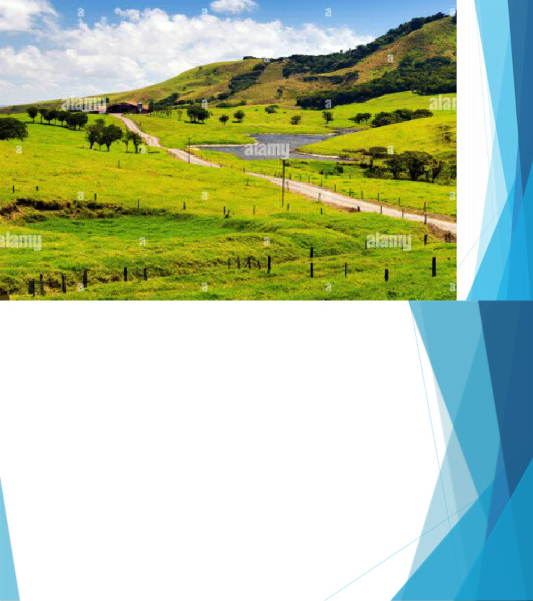 The Northern Plains | PDF