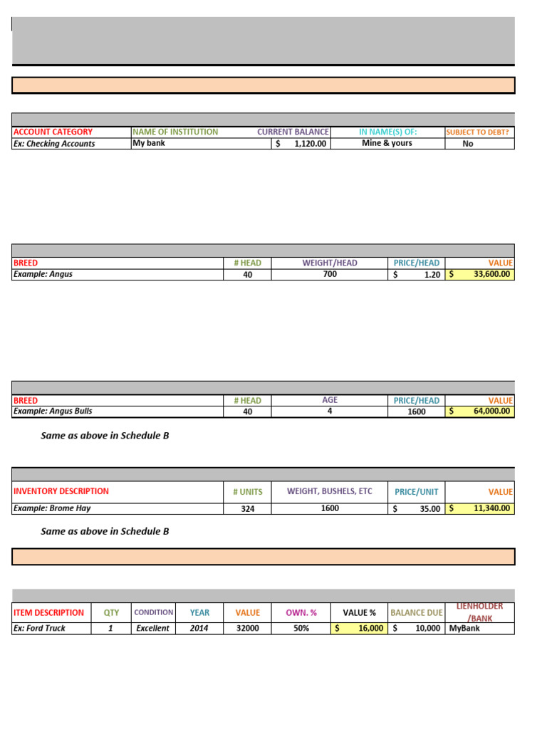 Financial Statement and Asset Inventory | PDF | Credit | Finance ...