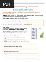 BTB Experiment: Photosynthesis & Respiration | PDF | Photosynthesis ...