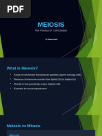 Meiosis: PMAT Stages Explained | PDF
