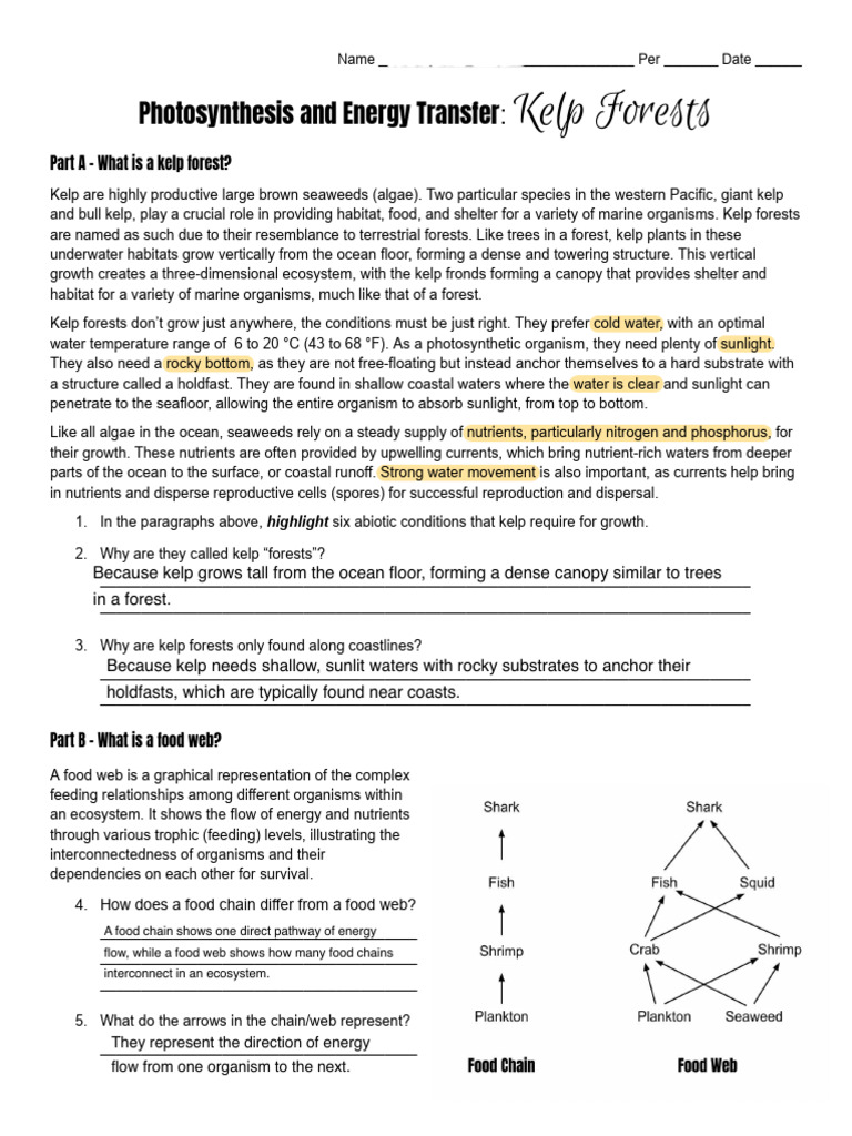 Kelp Forests: Photosynthesis & Food Webs | PDF | Food Web | Habitat