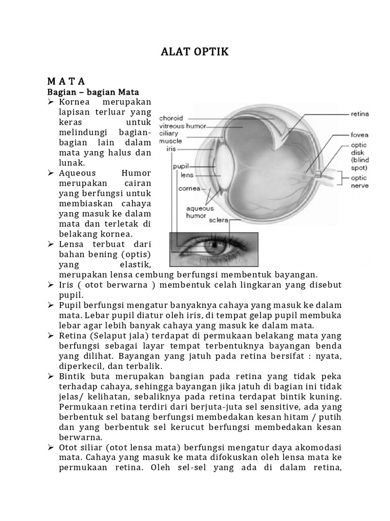 Bagian dan Fungsi Alat Optik Mata | PDF