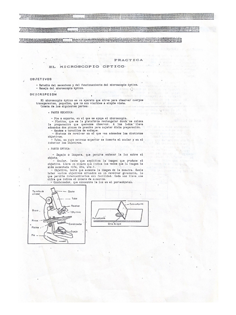 Práctica 2_Uso Del Microscopio | PDF
