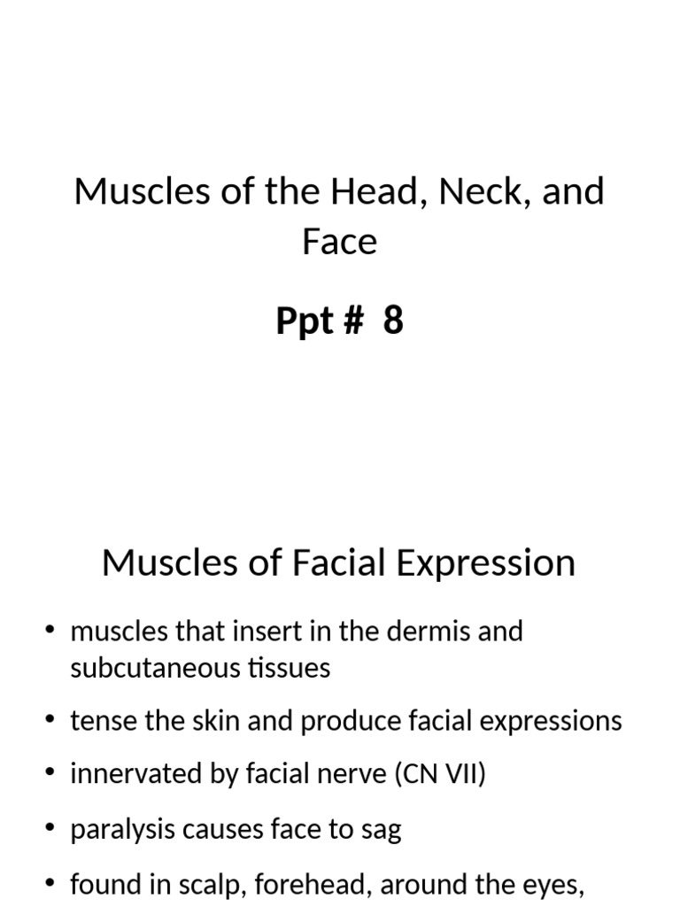 8 Muscles of The Head Neck and Face | PDF | Musculoskeletal System ...