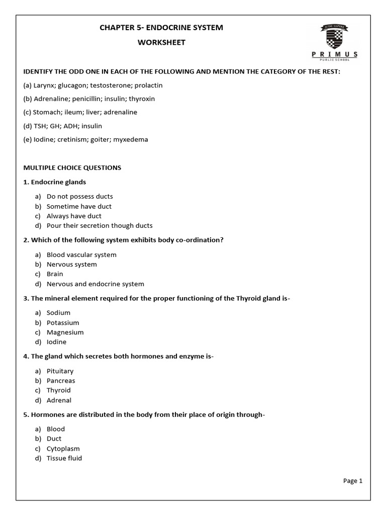 Ch5 - Endocrine System Worksheet | PDF | Endocrine System | Hormone