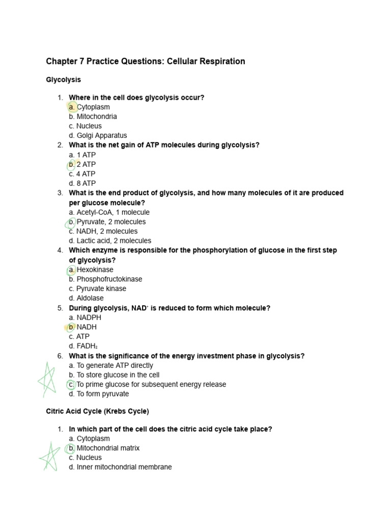 Chapter7 - Practice Questions - Cellular Respiration | PDF | Cellular ...
