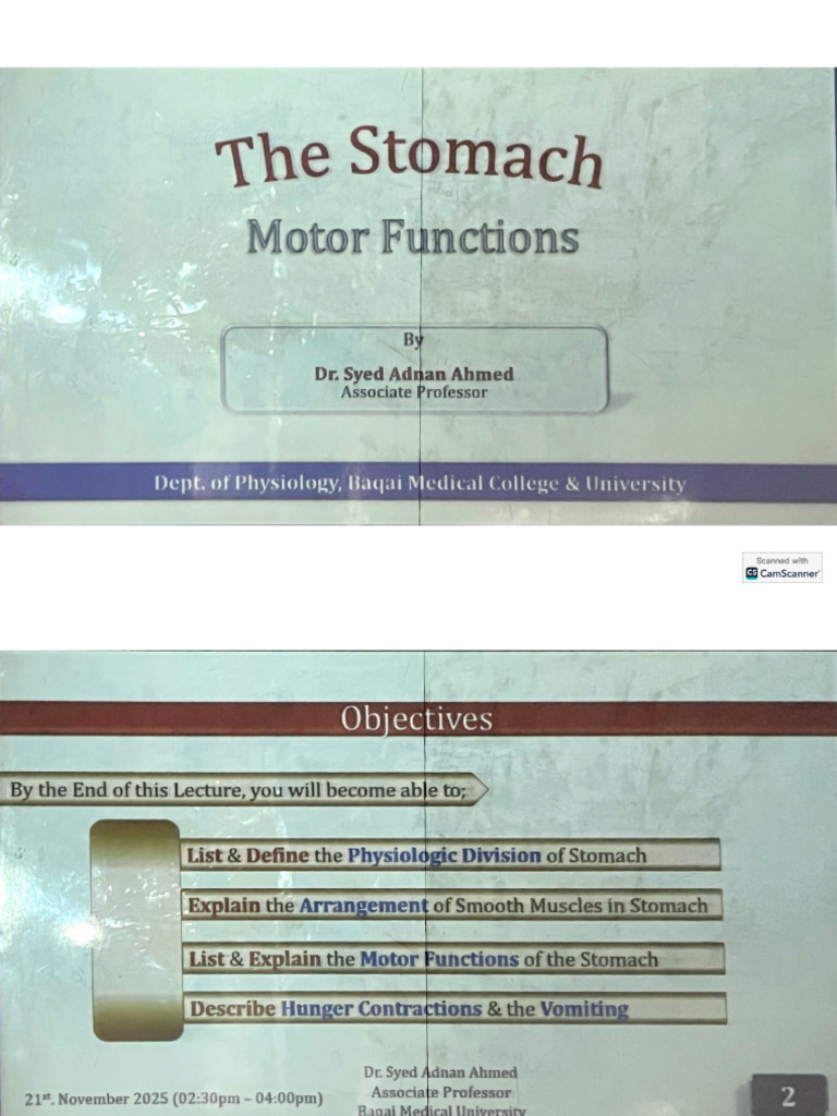 Motor Function of Stomach I (Physio) | PDF