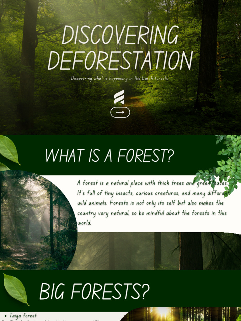 Understanding Deforestation and Forests | PDF | Forests | Amazon Rainforest