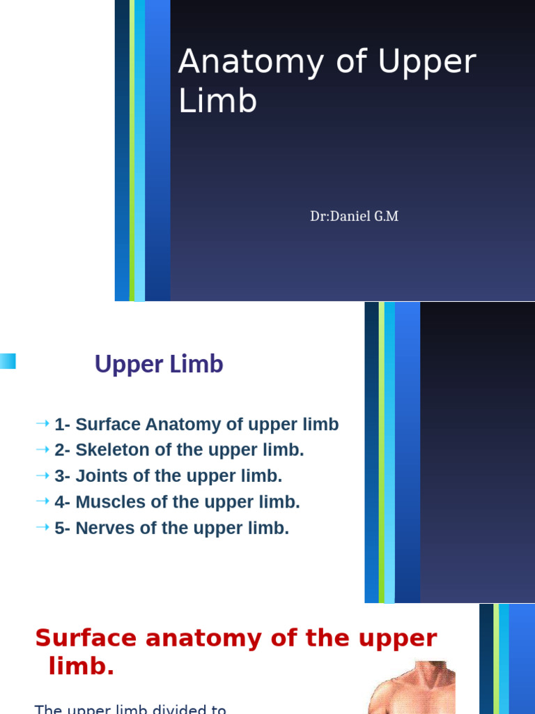 Upper Limb Cmt4 | PDF | Thumb | Anatomical Terms Of Motion