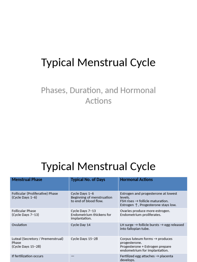 Menstrual Cycle Phases and Hormones | PDF