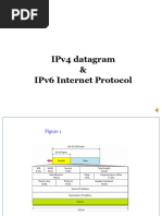 IPv4 Datagram Structure and Examples | PDF | Internet Protocols ...