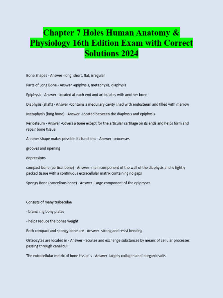 Chapter 7 Holes Human Anatomy | PDF | Vertebra | Human Nose