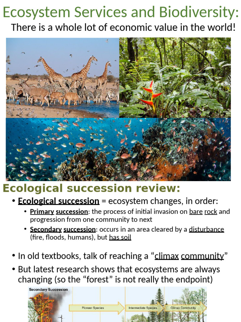 7-ecology 7 -ecosystem services and biodiversity | PDF | Ecosystem ...