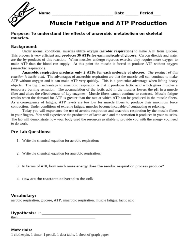 Muscle Fatigue and ATP Production Lab | PDF | Skeletal Muscle ...