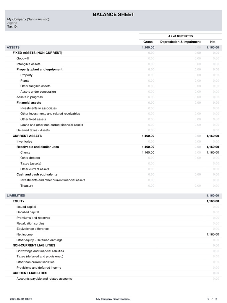 Balance Sheet | PDF | Fixed Asset | Balance Sheet