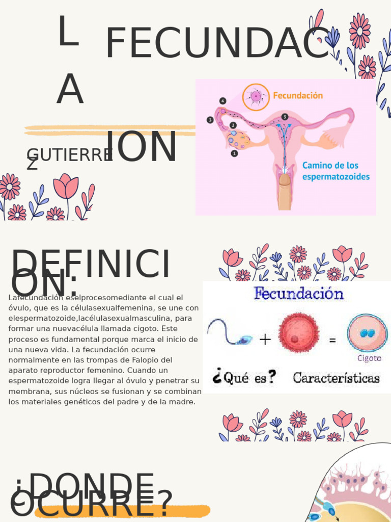 Grey's Huari - 20251116 - 205758 - 0000 | PDF | Fertilización | Embrión