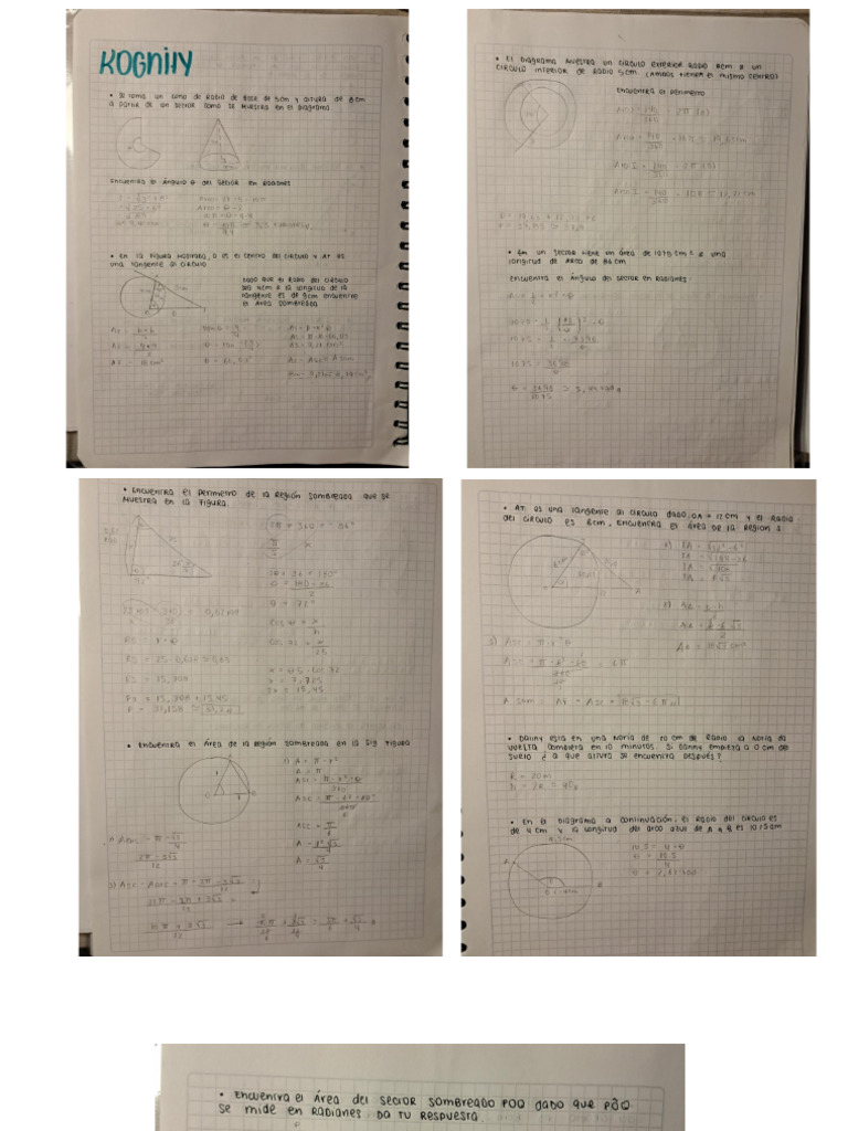 KOGNITY Sector Circular | PDF