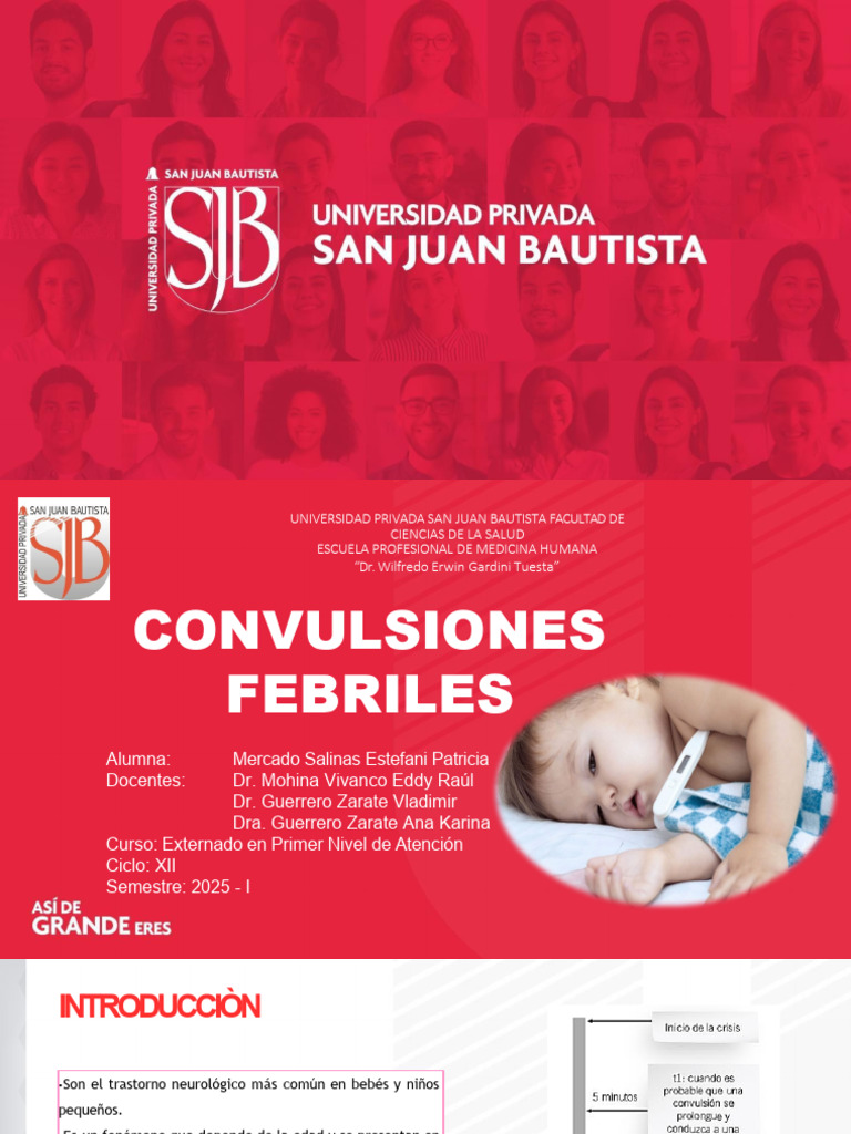 Convulsiones Febriles en Niños: Guía Completa | PDF | Epilepsia | Fiebre