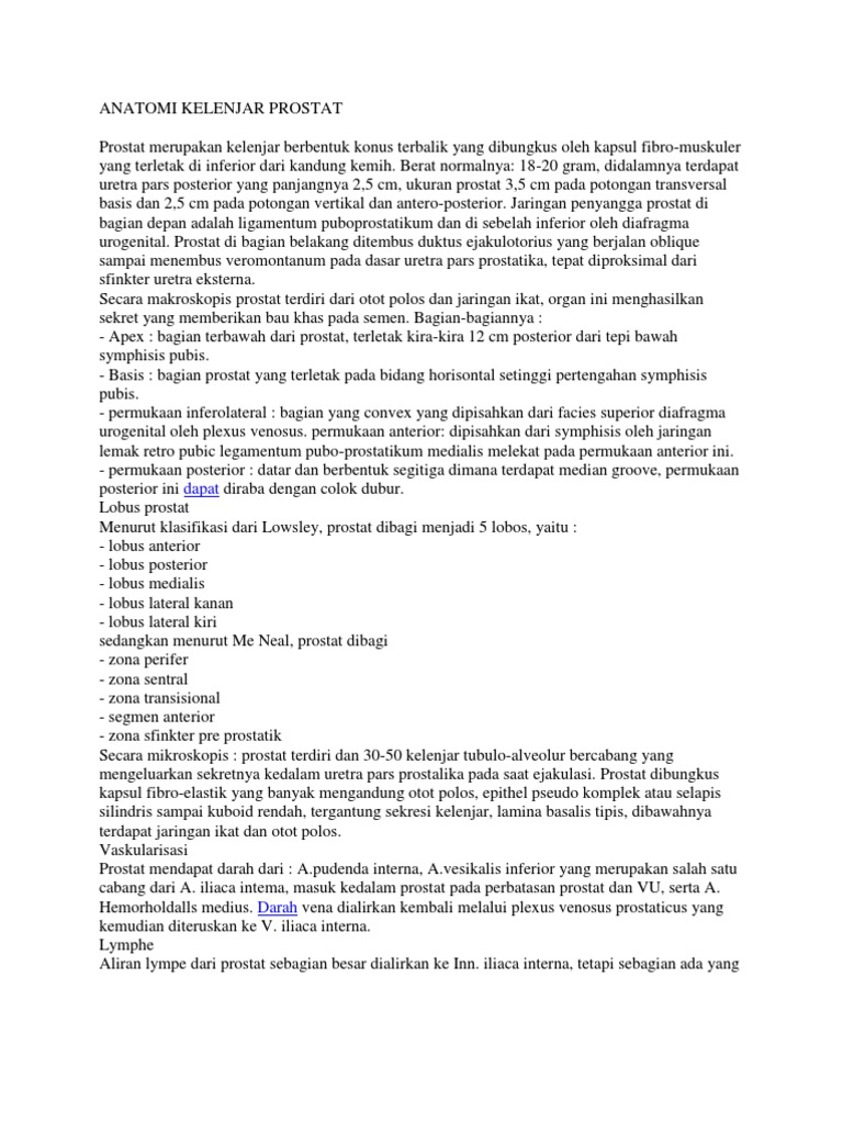 Anatomi Kelenjar Prostat | PDF