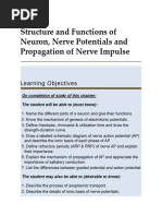 Labeled Neuron Diagram Instructions | PDF | Axon | Myelin