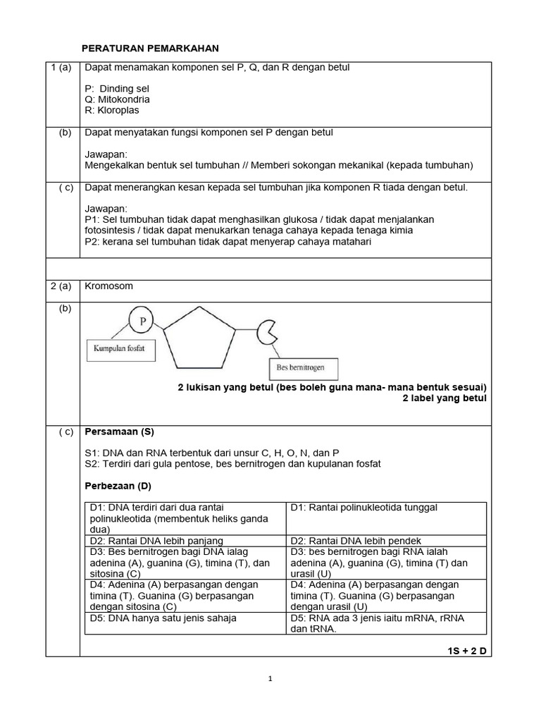Skema Bio k2 Uasa 2025 | PDF