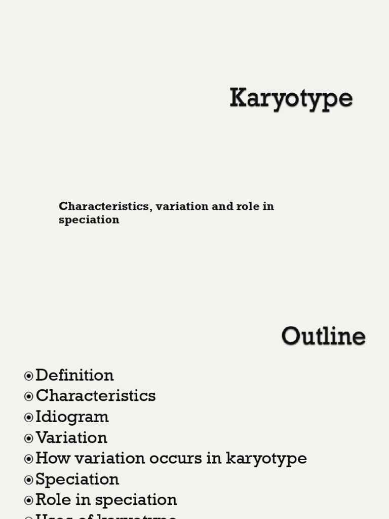 Karyotype | PDF | Karyotype | Chromosome