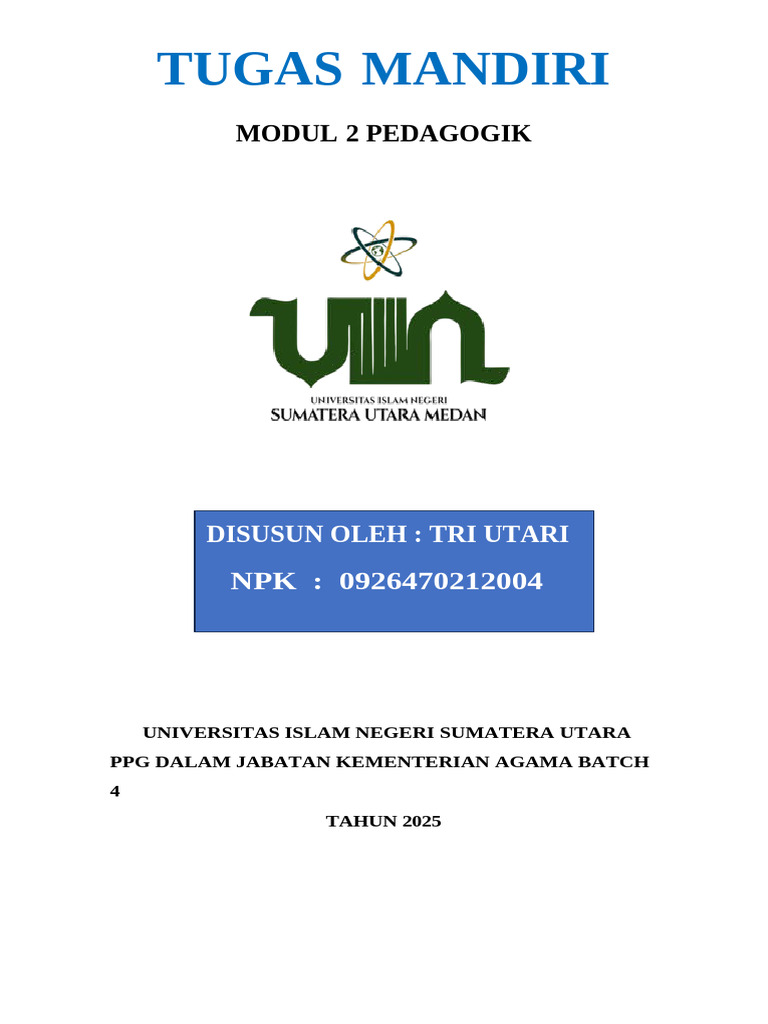 Strategi Pembelajaran PPG 2025 MI | PDF