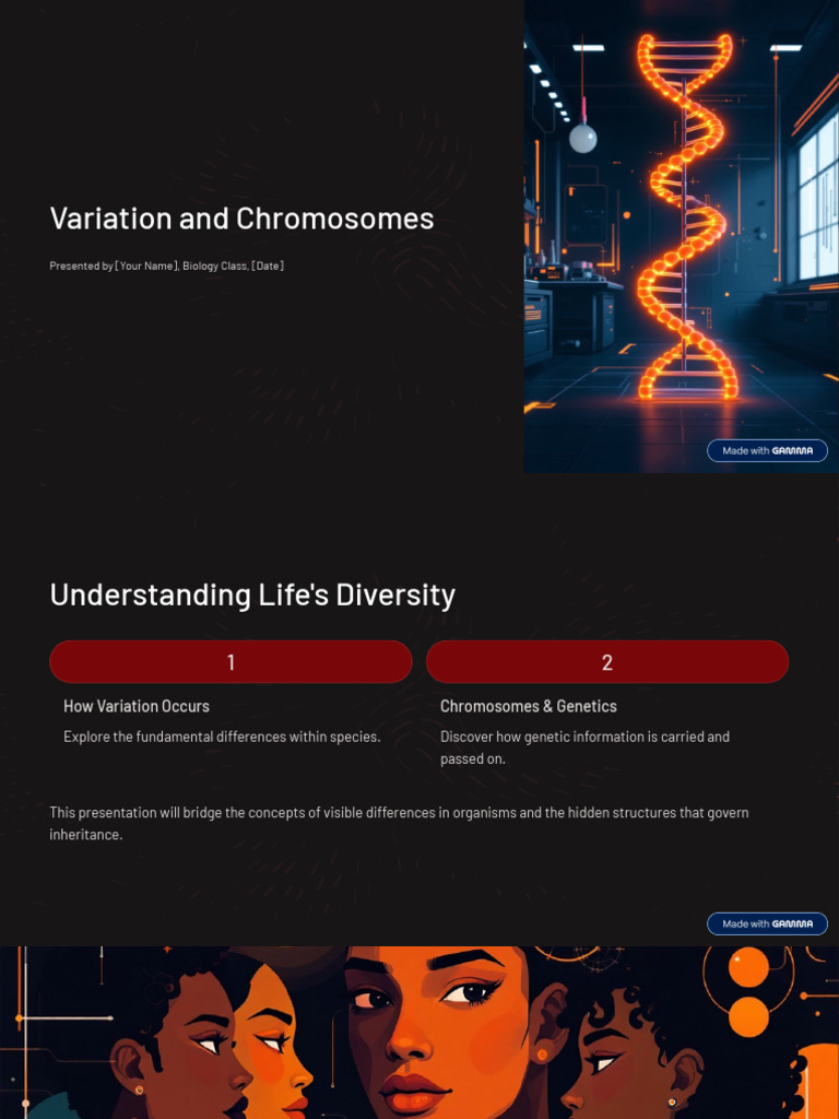 Variation and Chromosomes | PDF | Heredity | Genetic Diversity