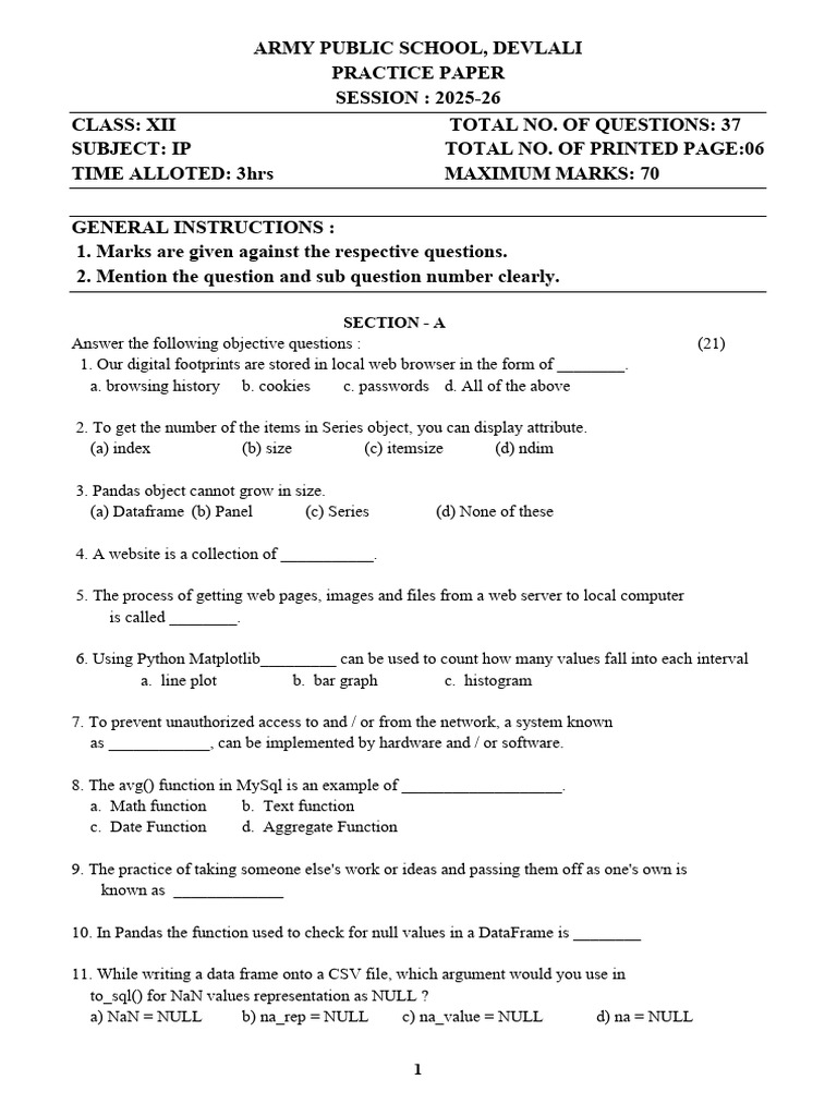 Class XII IP Practice Paper 2025-26 | PDF | Computer Network | Database ...