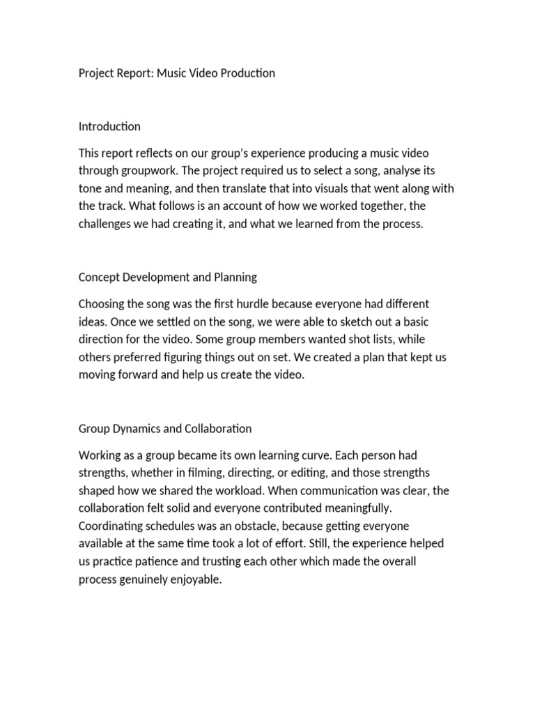 Music Video Production Project Insights | PDF