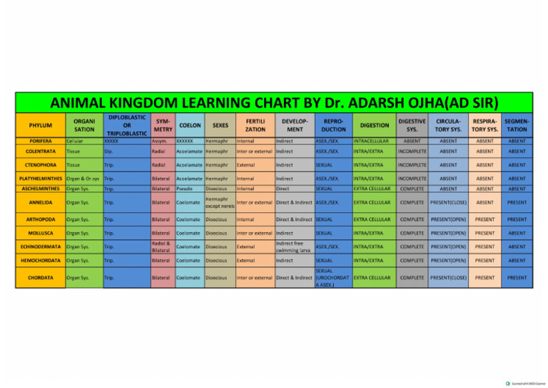 Animal Kingdom Learning Chart by AD SIR | PDF