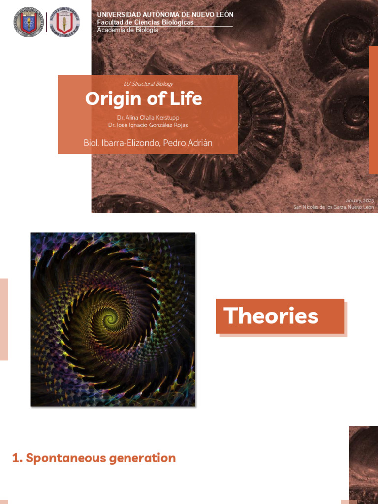 Theories on the Origin of Life | PDF | Abiogenesis | Hydrothermal Vent