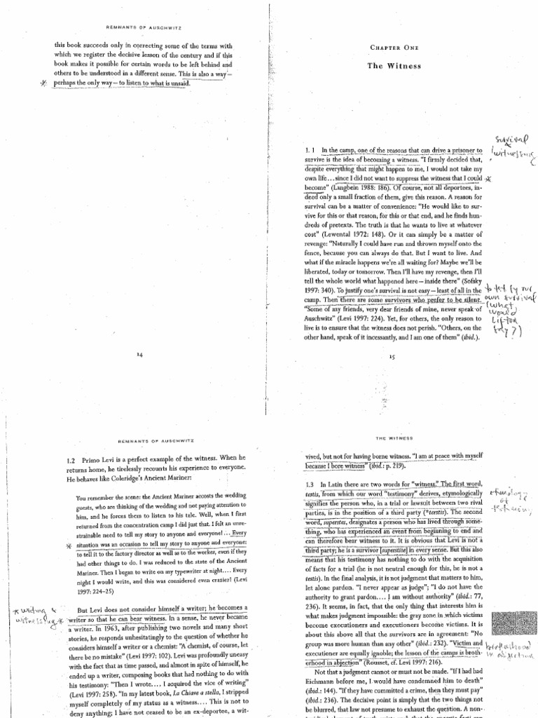 The Witness Agamben | PDF