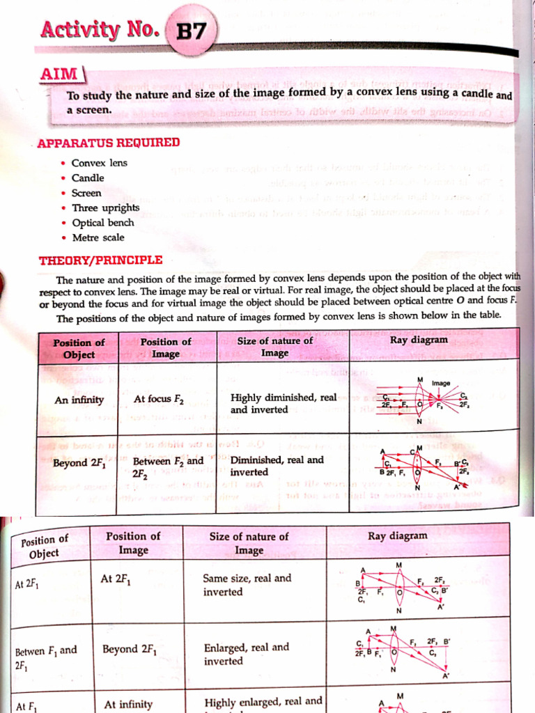 Activity 6 Std -12 | PDF