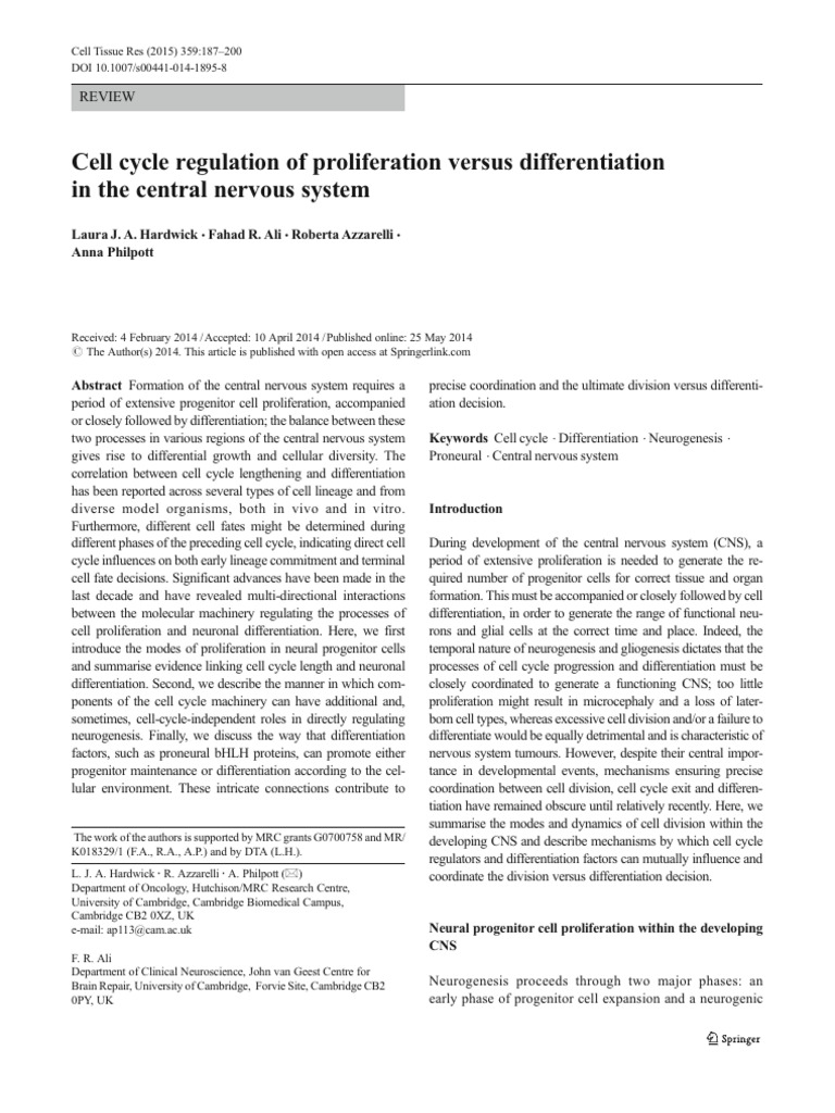CNS Cell Cycle: Proliferation vs. Differentiation | PDF | Cell Cycle ...