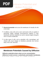 Untitled Presentation | PDF