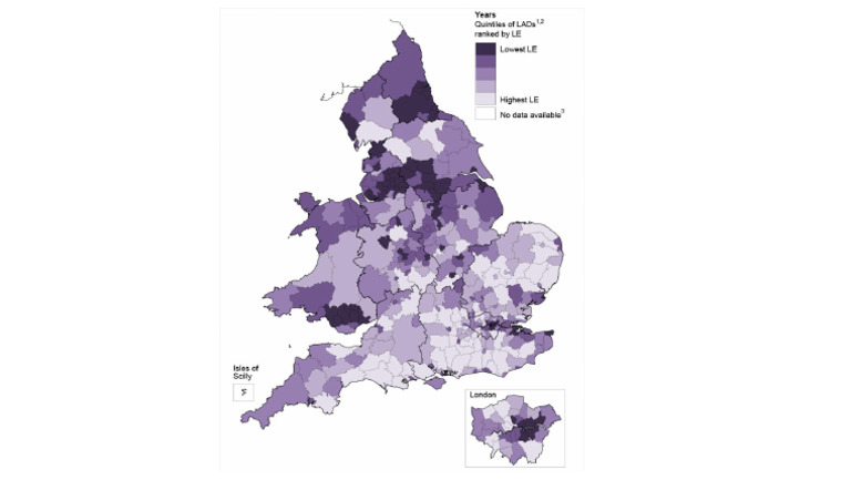 Lesson 4 Life Expectancy Map | PDF